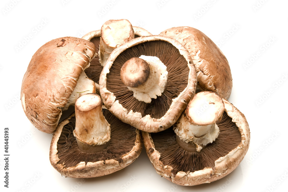 hongos Stock Photo | Adobe Stock