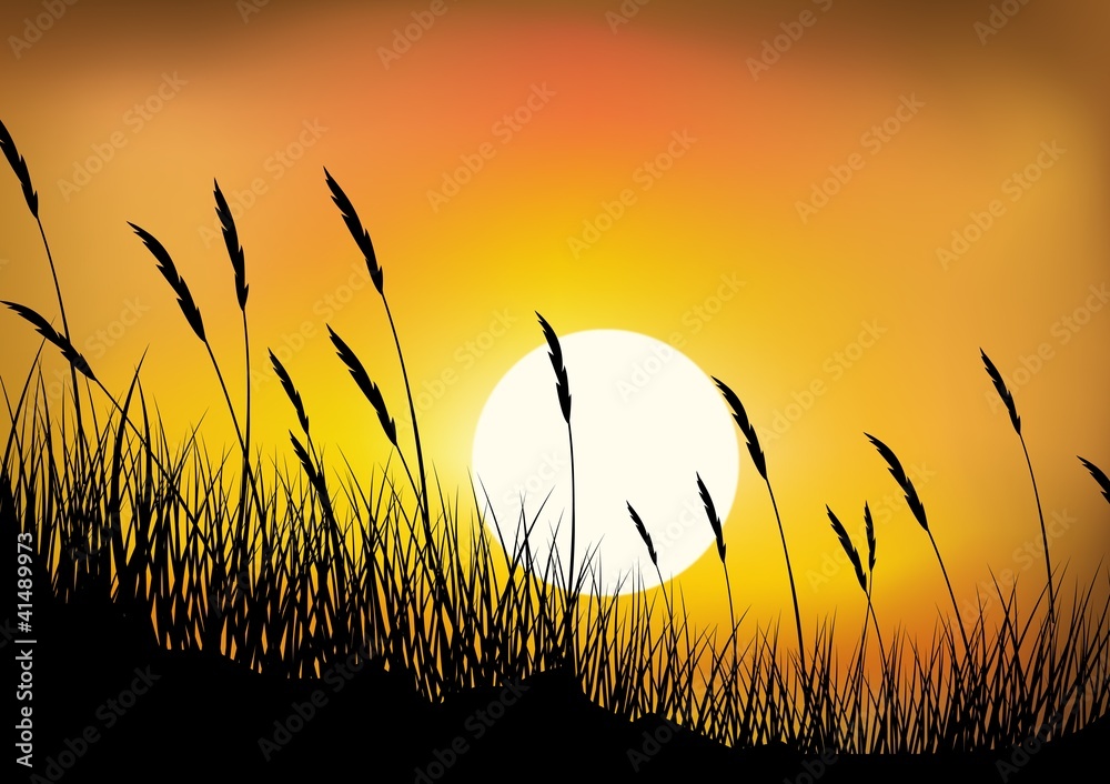 Grass background Stock Vector | Adobe Stock