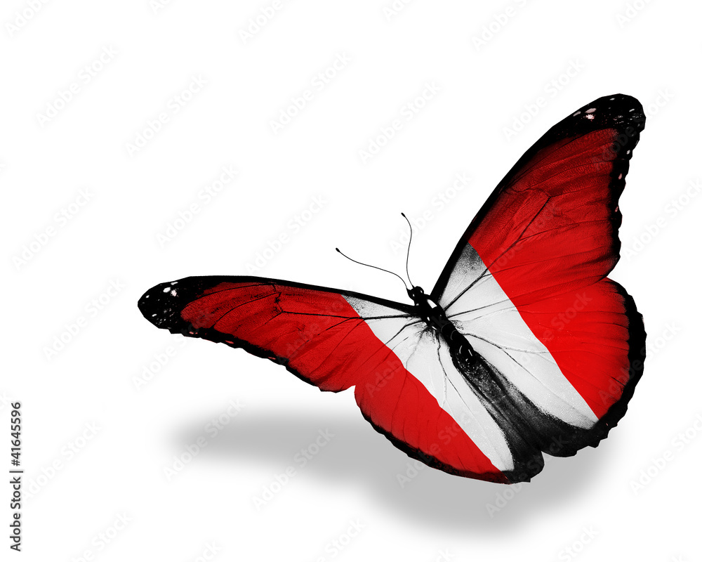 Peruvian flag butterfly flying, isolated on white background Stock ...