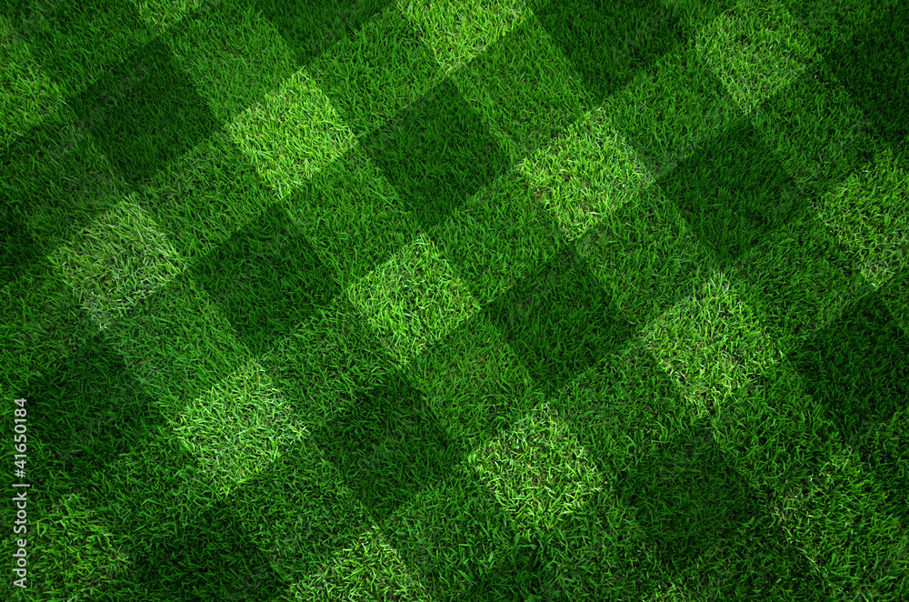 Green grass texture background And the line cut Stock Photo | Adobe Stock