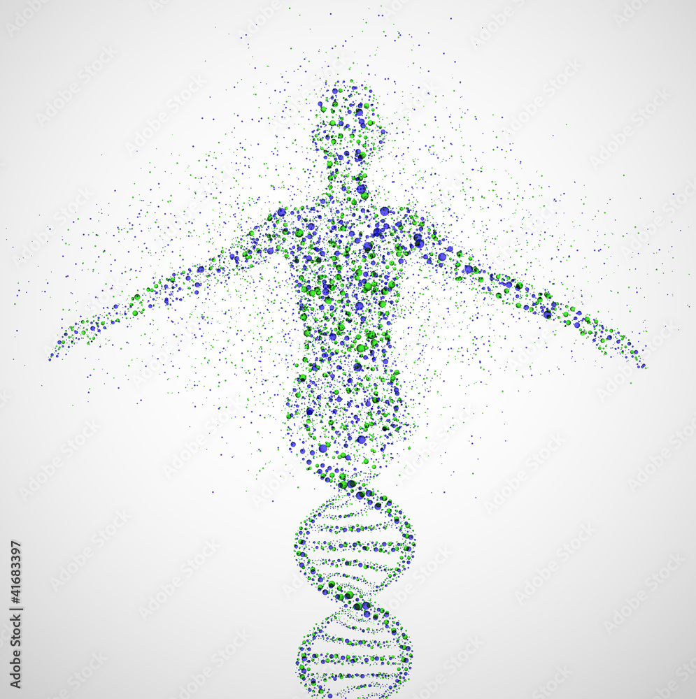 Prototype of women Stock Vector | Adobe Stock