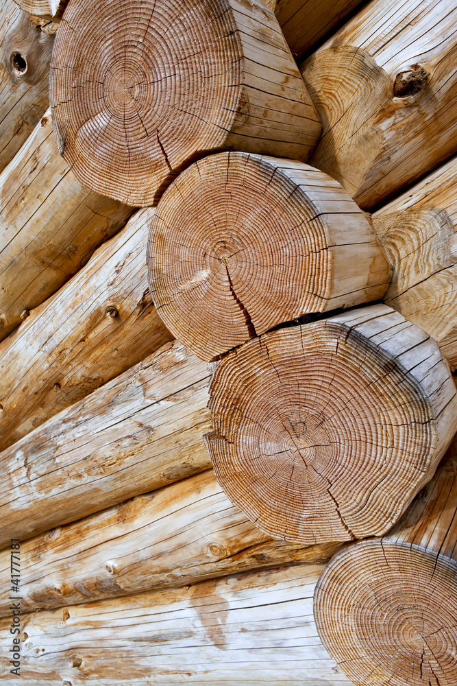 Bois, chalet, cabane, construction, maison, rondin, bûche Stock Photo ...