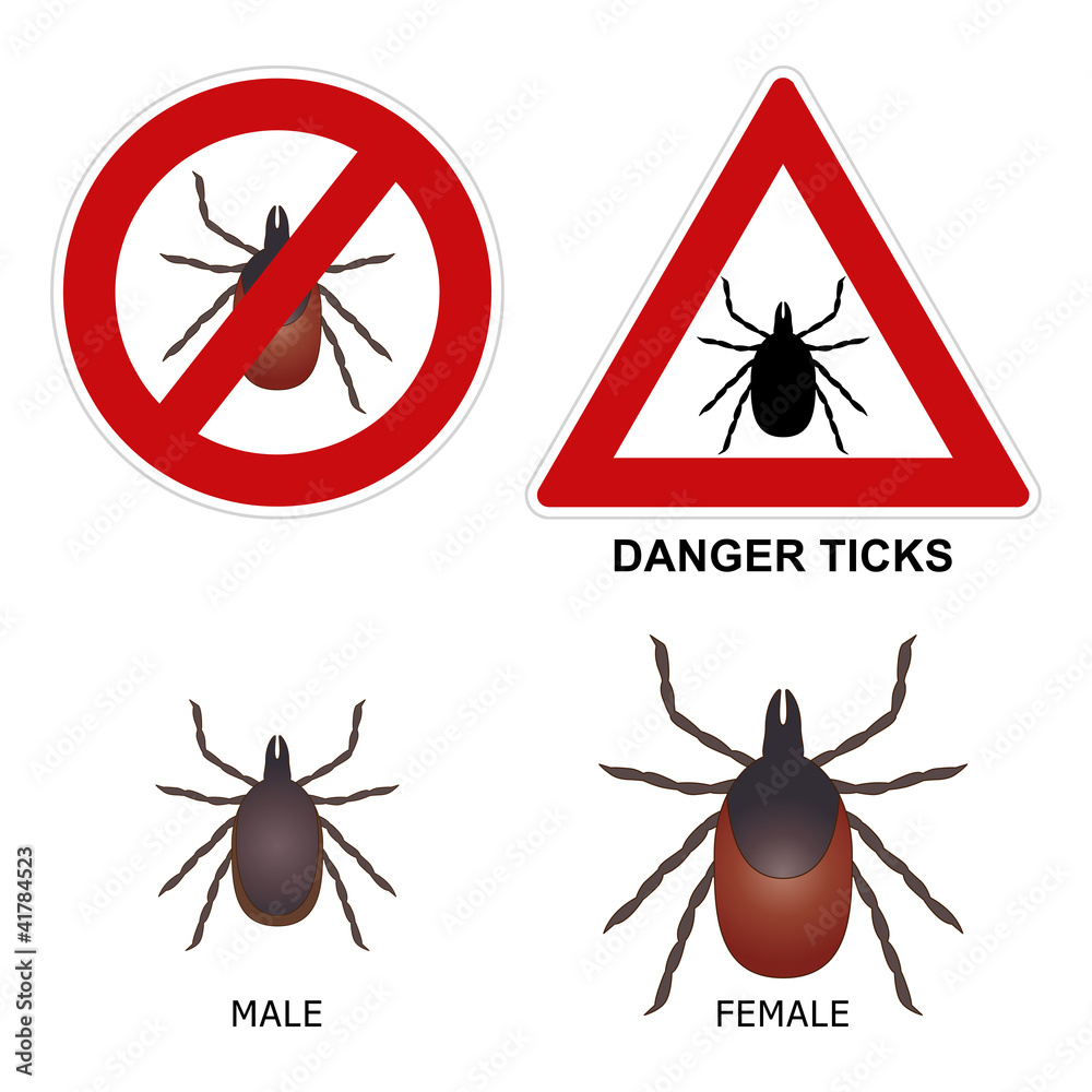 Tick warning sign, detailed illustration of ticks. Stock Vector | Adobe ...