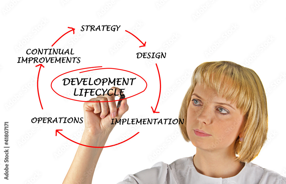 Diagram of development lifecycle Stock Photo | Adobe Stock