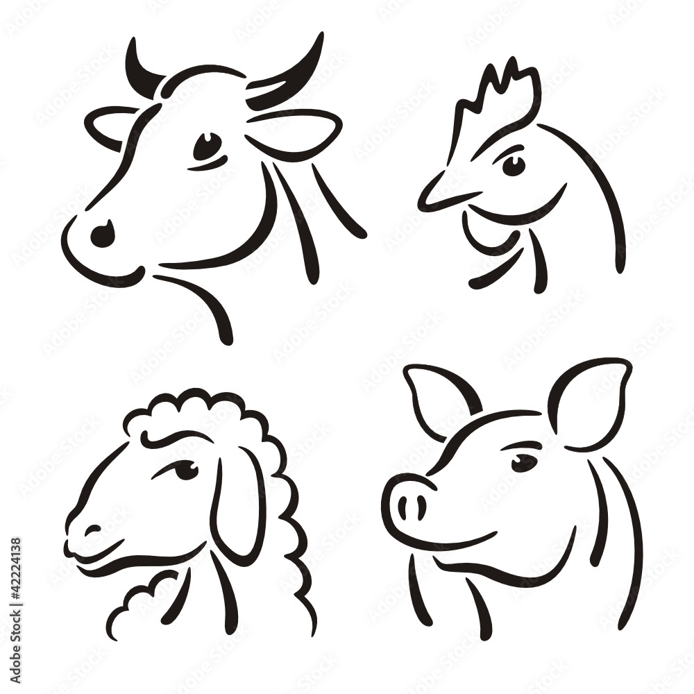 Cow Pig Sheep Chicken Stock Vector | Adobe Stock