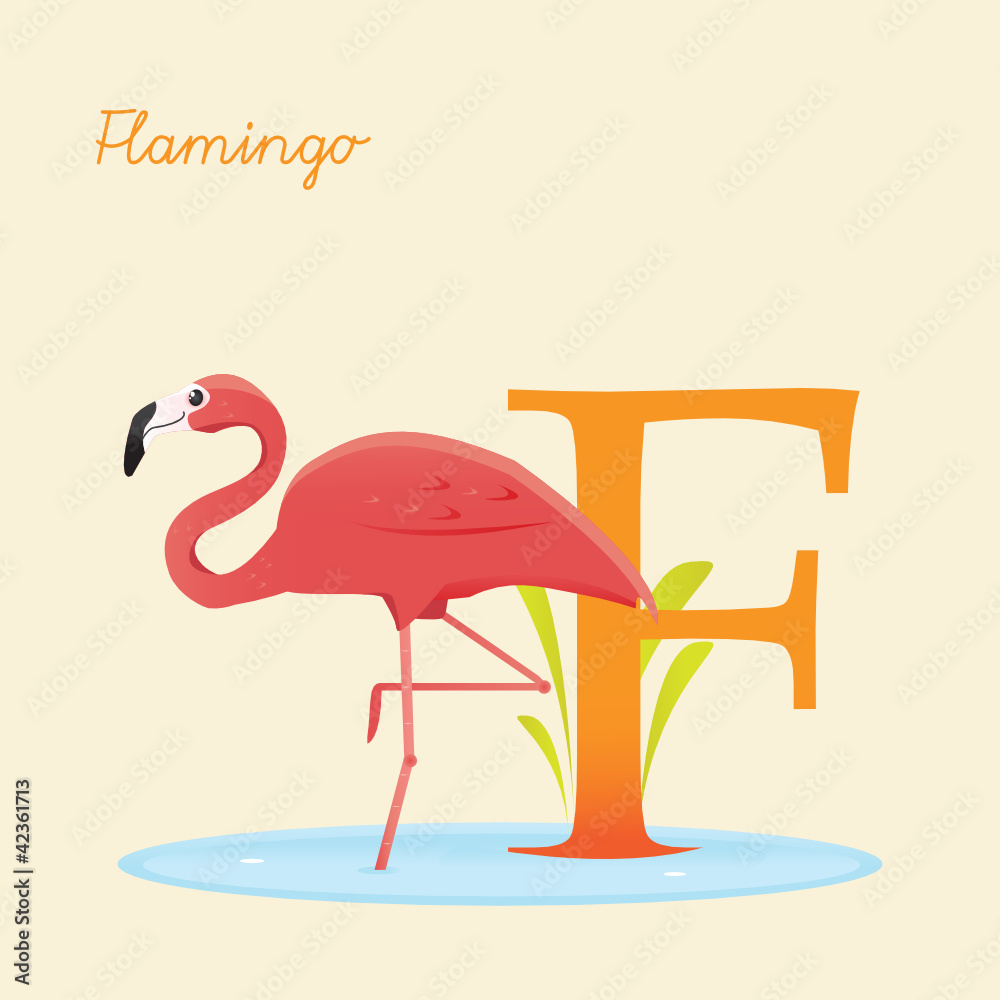 Animal alphabet with flamingo, vector illustration Stock Vector | Adobe ...