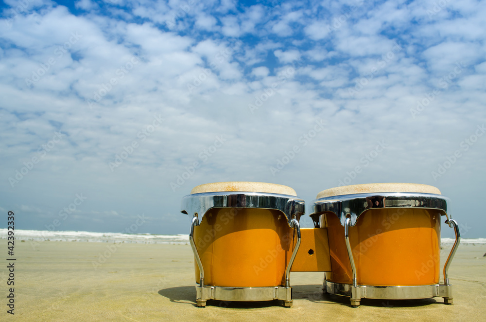 bongo on the beach Stock Photo | Adobe Stock