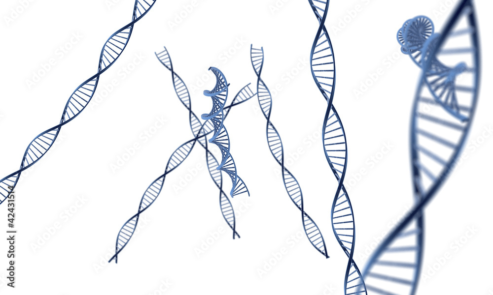 dna on white background Stock Photo | Adobe Stock