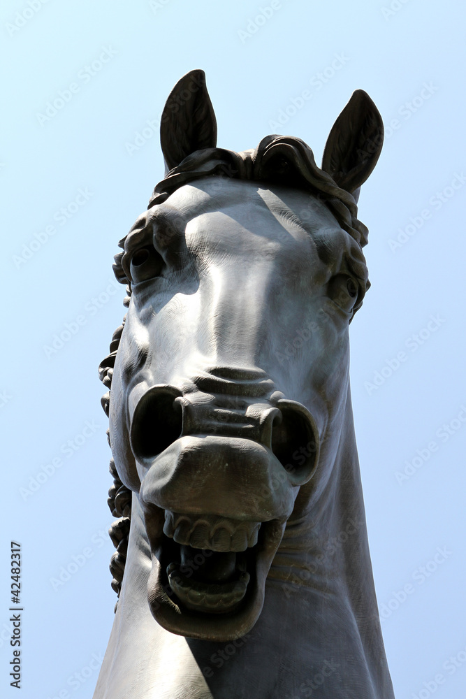 Foto Stock Muso del Cavallo | Adobe Stock