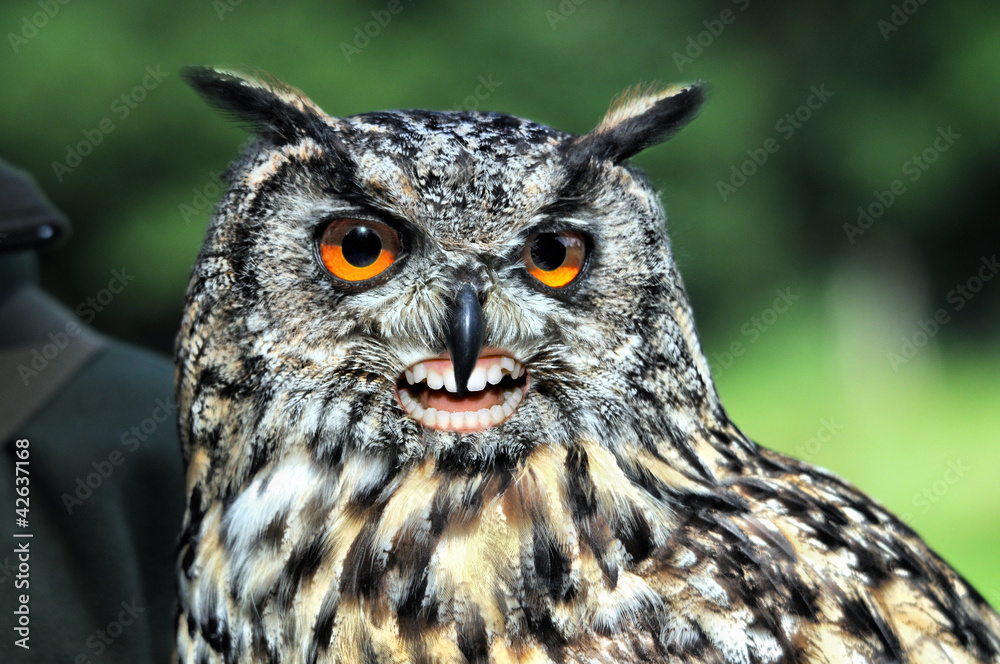 Mundeule Stock-Foto | Adobe Stock