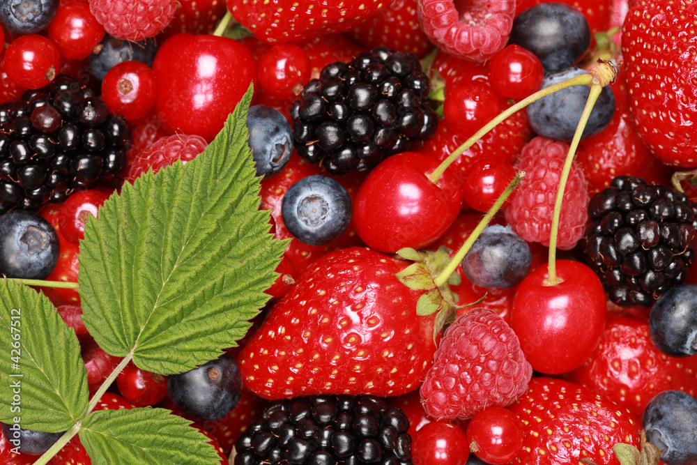 Beeren Stock-Foto | Adobe Stock
