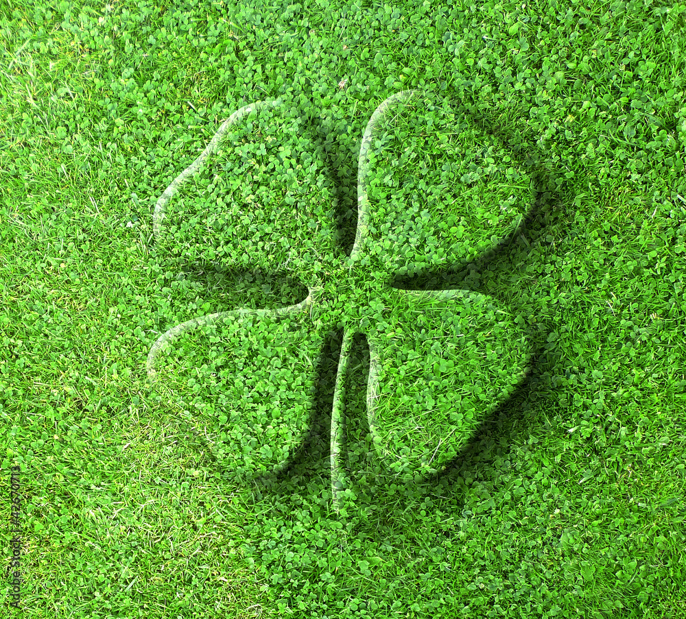 4 leaf clover shape in clover field Stock Photo | Adobe Stock