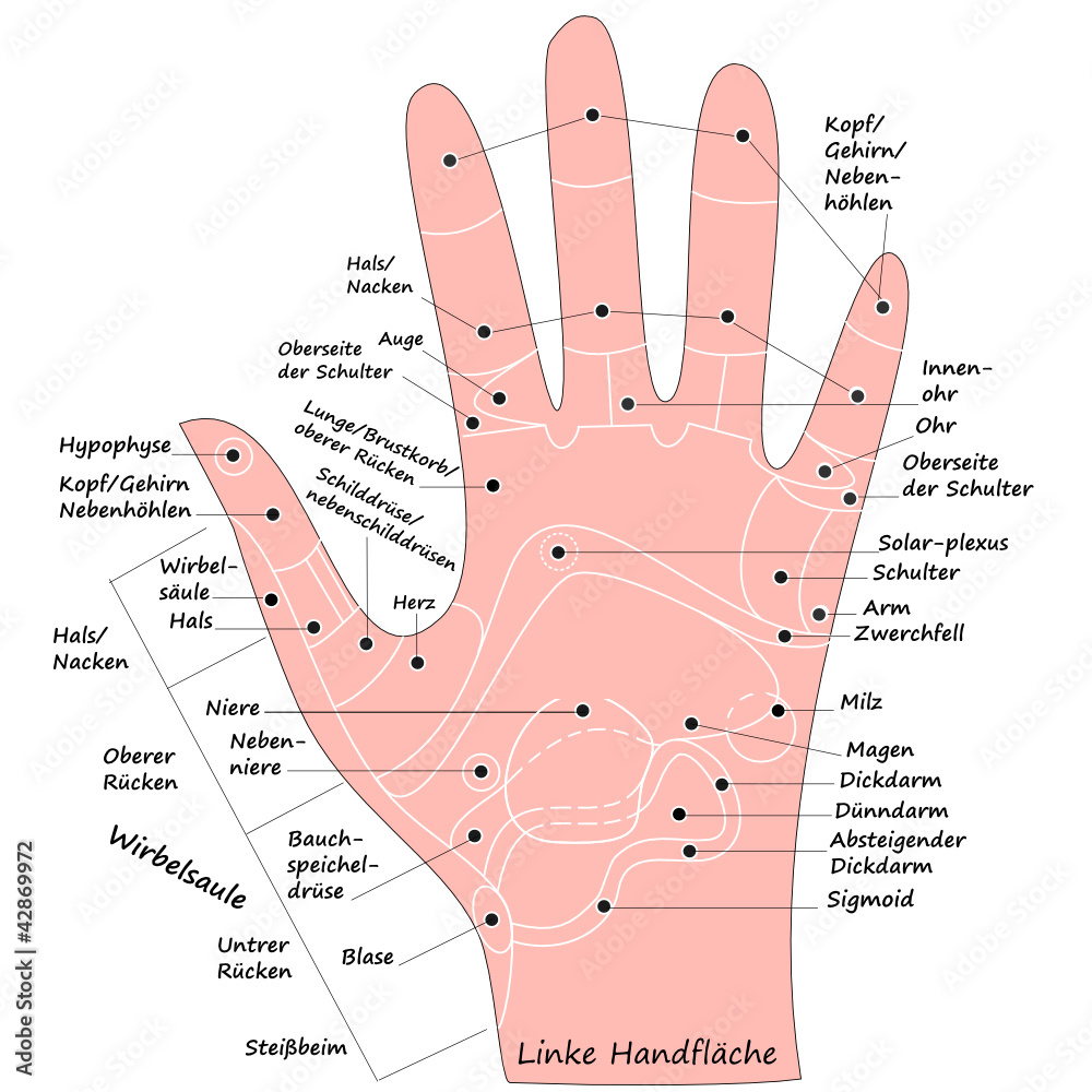 Handreflexzonen der Linken Hand Stock Vector | Adobe Stock