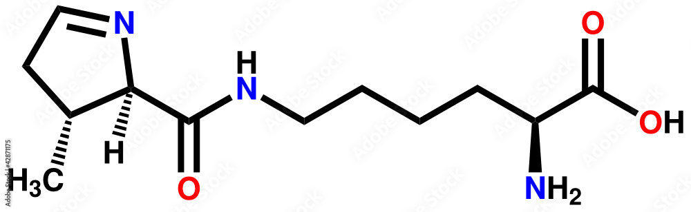 Amino acid pyrrolysine structural formula Stock Vector | Adobe Stock