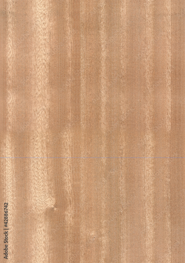 nutwood texture Stock Photo | Adobe Stock