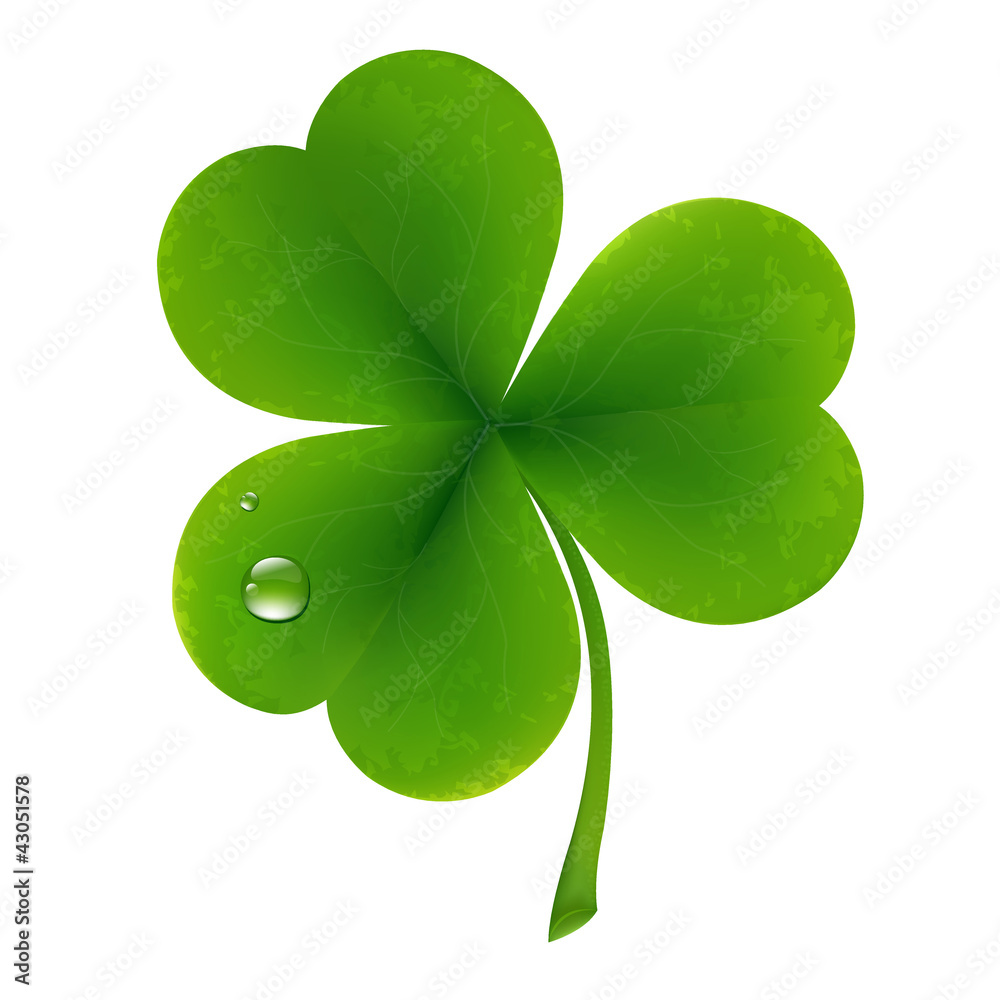 Clover Leaf Stock Vector | Adobe Stock