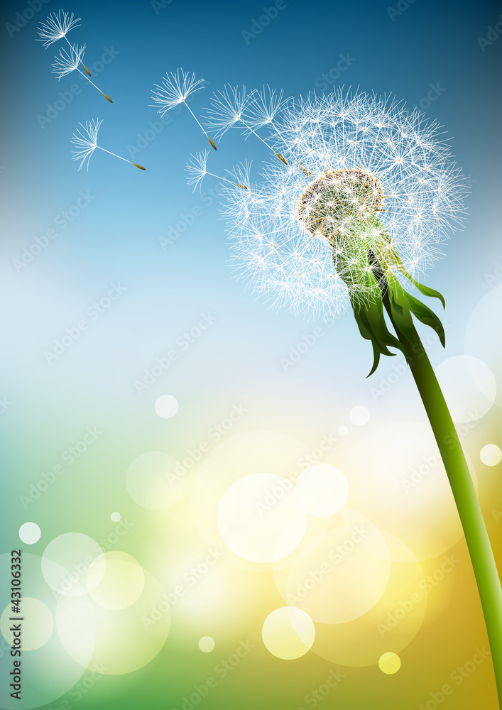 Pusteblume im Wind Stock-Vektorgrafik | Adobe Stock