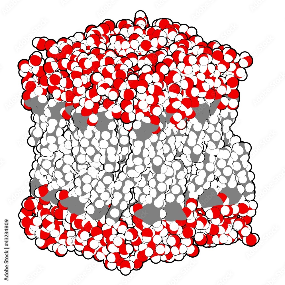 Lipid bilayer membrane model Stock Illustration | Adobe Stock