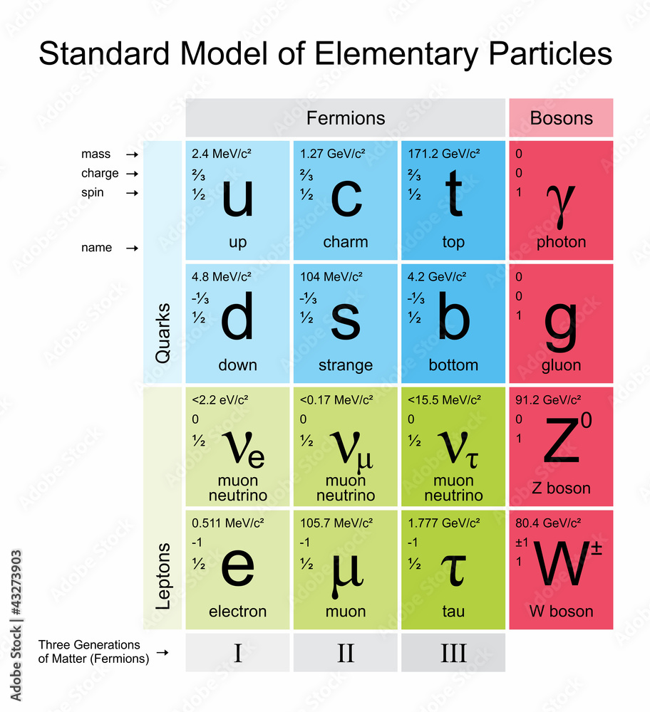 Standard Model of Elementary Particles Stock Illustration | Adobe Stock