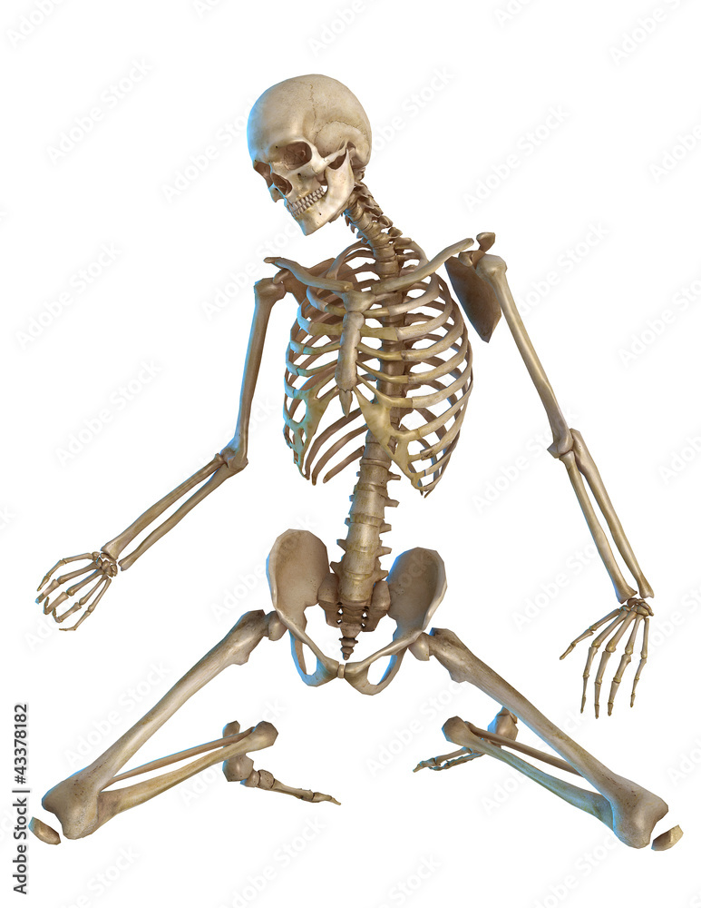 skeleton kneeling Stock Illustration | Adobe Stock