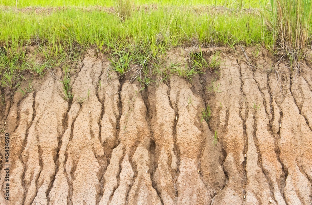 Cross section of green grass and underground soil layers beneath Stock ...