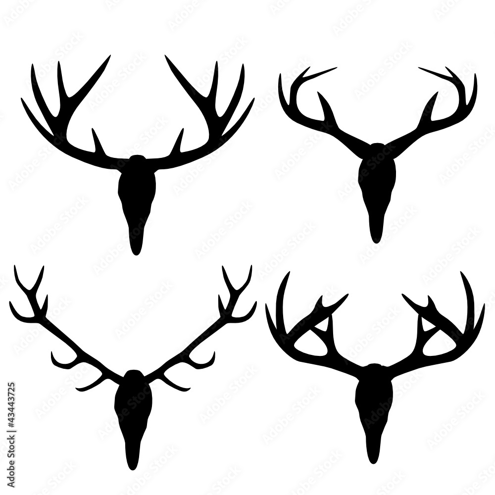 Geweihe Stock-Vektorgrafik | Adobe Stock