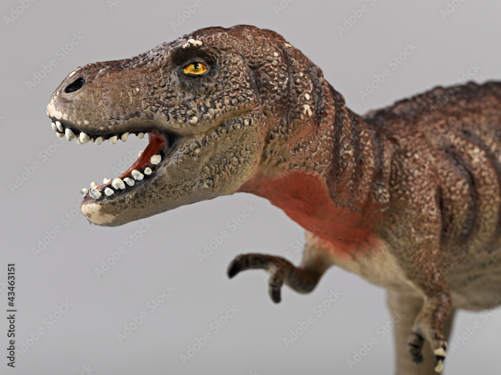 tyrannosaurus rex side view Stock Photo | Adobe Stock