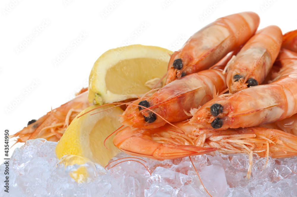 Scampi Stock-Foto | Adobe Stock
