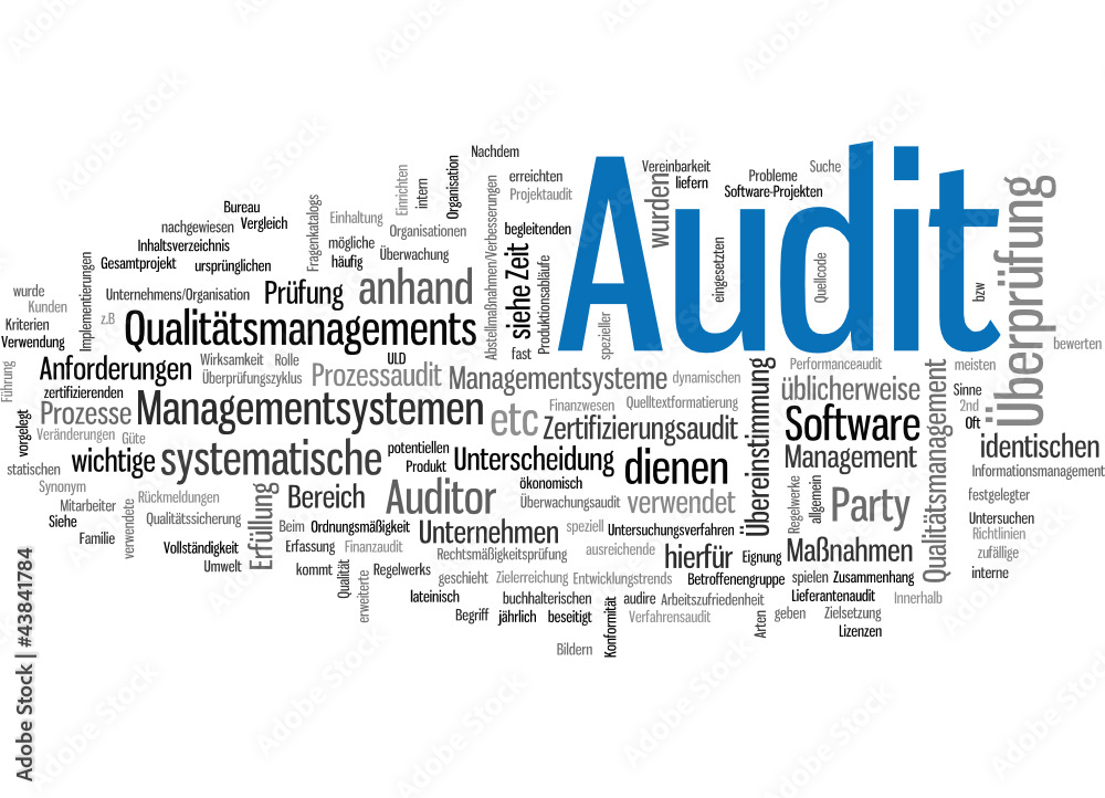 Audit Stock-Vektorgrafik | Adobe Stock