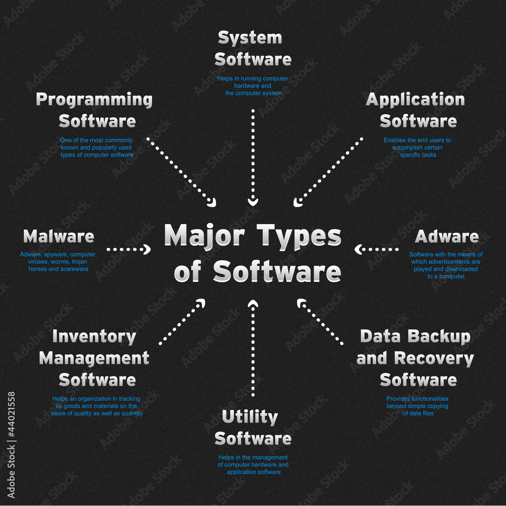 Major types of software. Diagram Stock Illustration | Adobe Stock