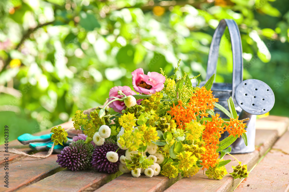 Blumen aus dem Garten Stock-Foto | Adobe Stock