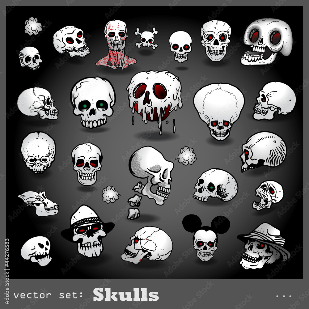 VECTOR SET OF SCULLS Stock Vector | Adobe Stock