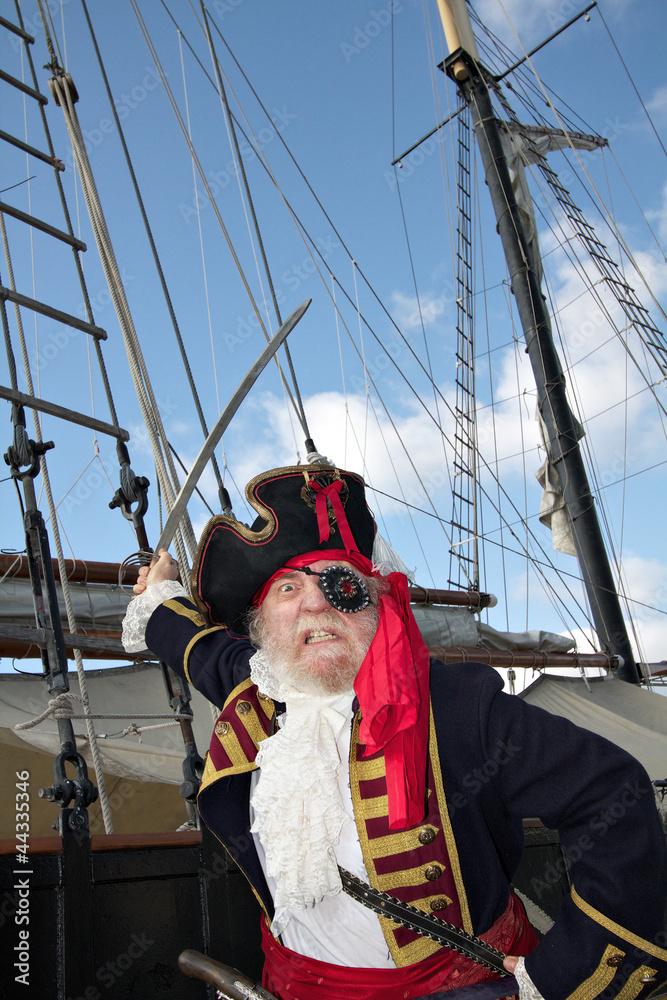 Pirate Captain On Ship