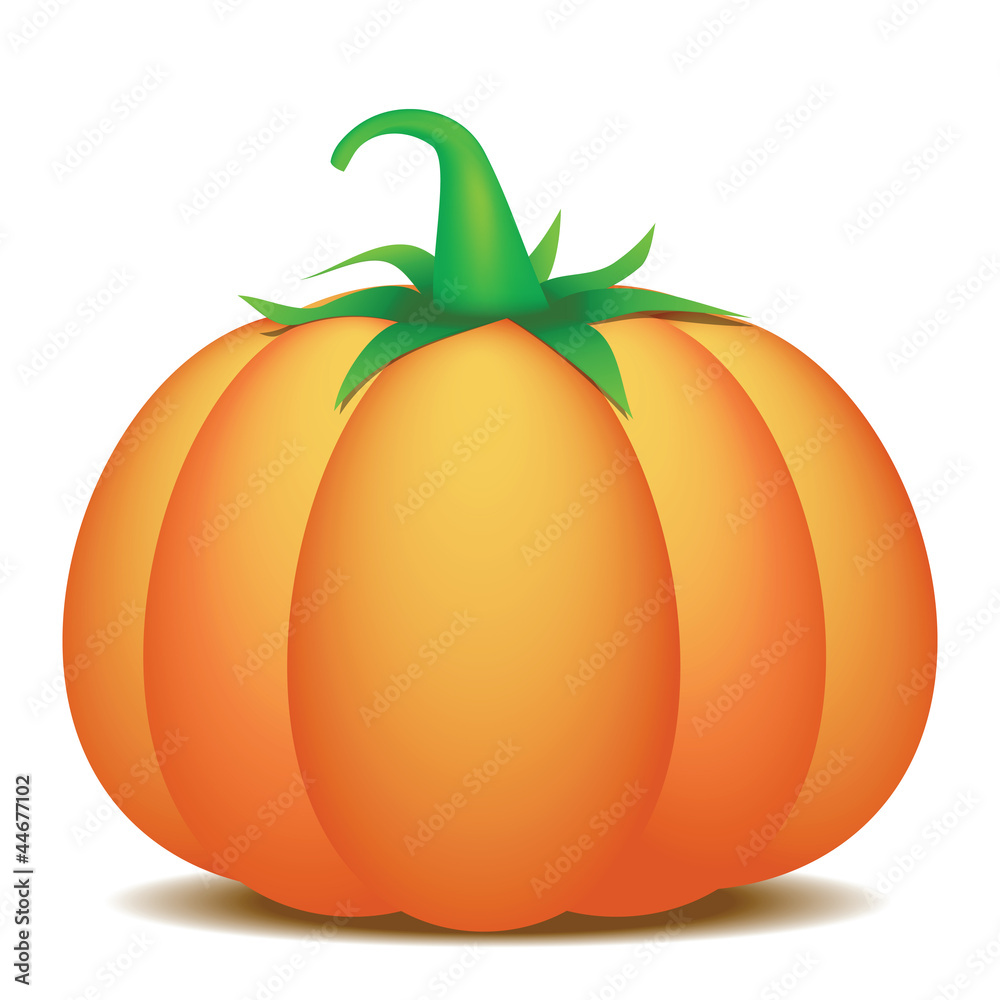Pumpkin. Vector illustration Stock Vector | Adobe Stock