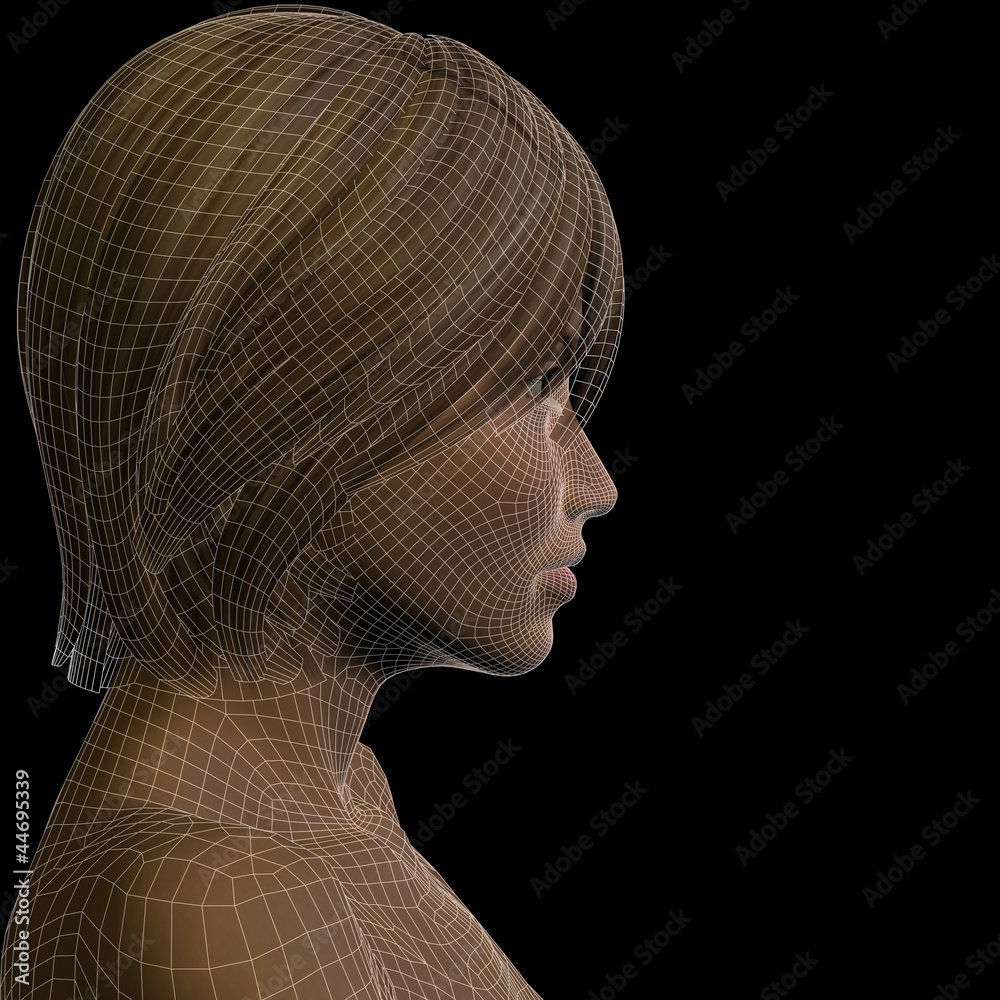 High resolution 3D wireframe human female head isolated Stock ...