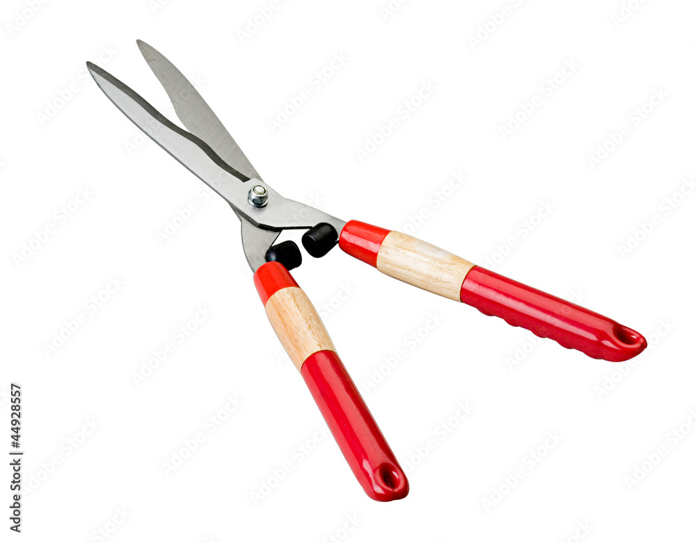 Shear isolated on white background Stock Photo | Adobe Stock