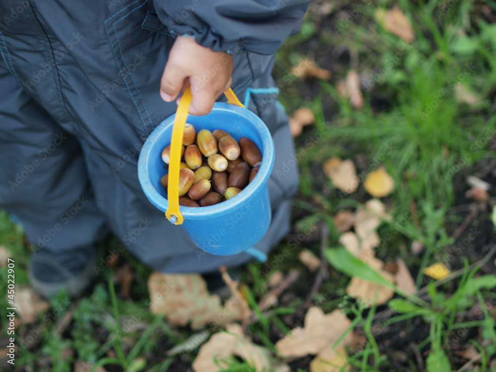 Child carrying blue bucket with acorns Stock Photo | Adobe Stock