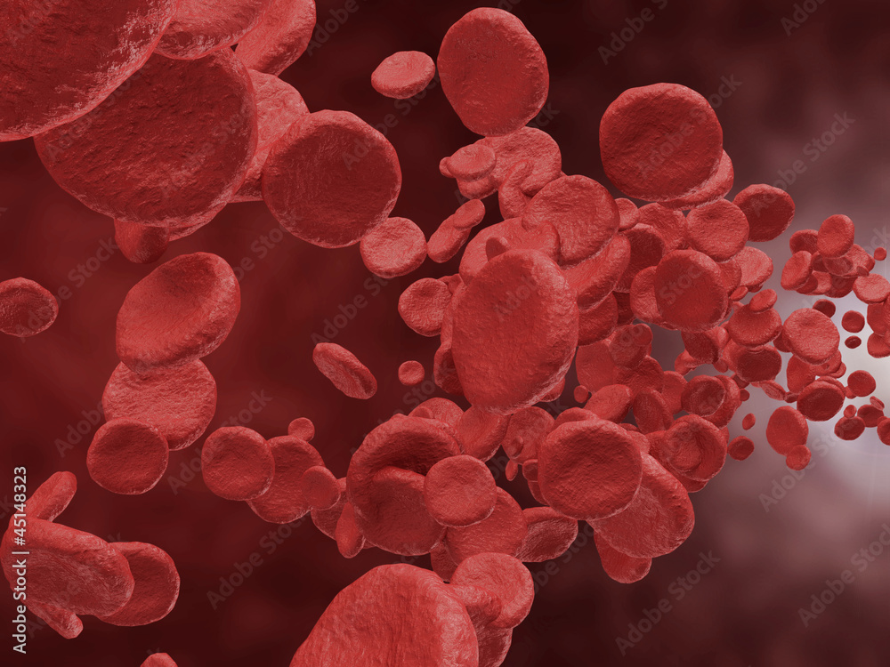 Digital Illustration of a Red Blood Cells Flowing Through Vein Stock ...