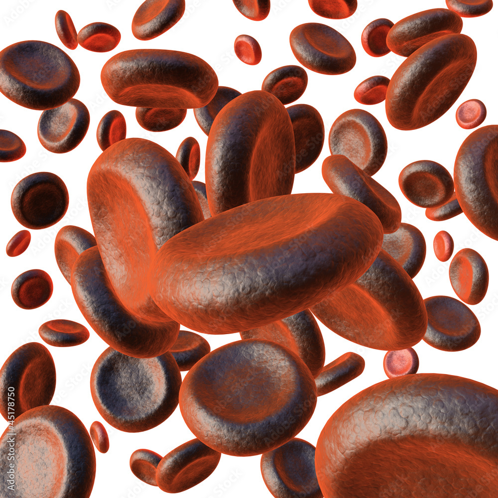 Red blood cells on white background Stock Illustration | Adobe Stock