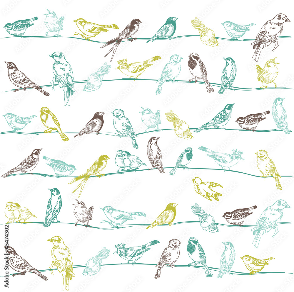 Birds Seamless Background - for design and scrapbook - in vector Stock ...