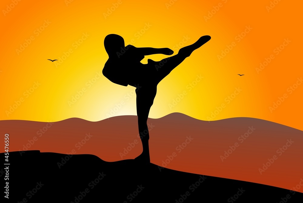 High Kick Silhouette