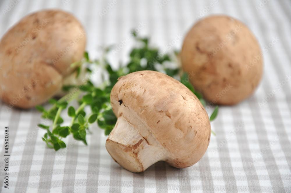 Champignons Stock Photo | Adobe Stock