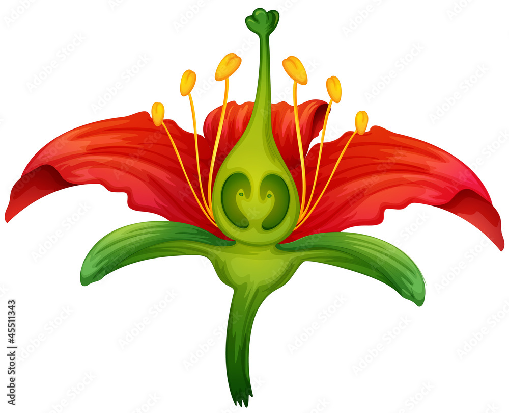 Unlabeled Flower Structure | Best Flower Site