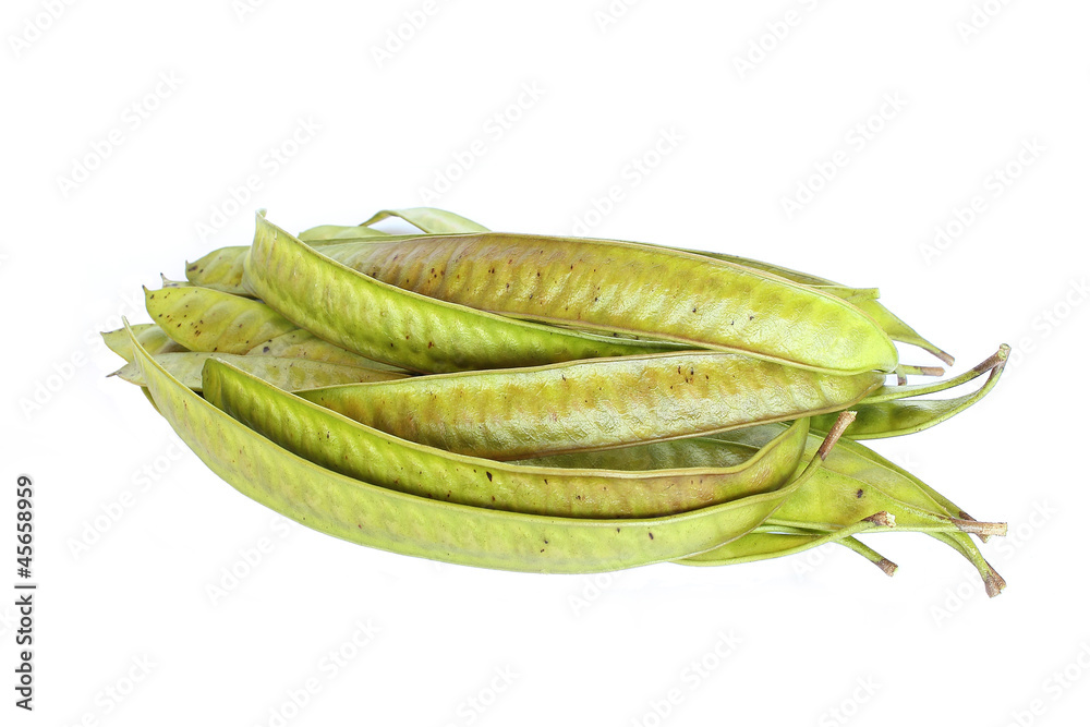 Leucaena leucocephala Stock Photo | Adobe Stock