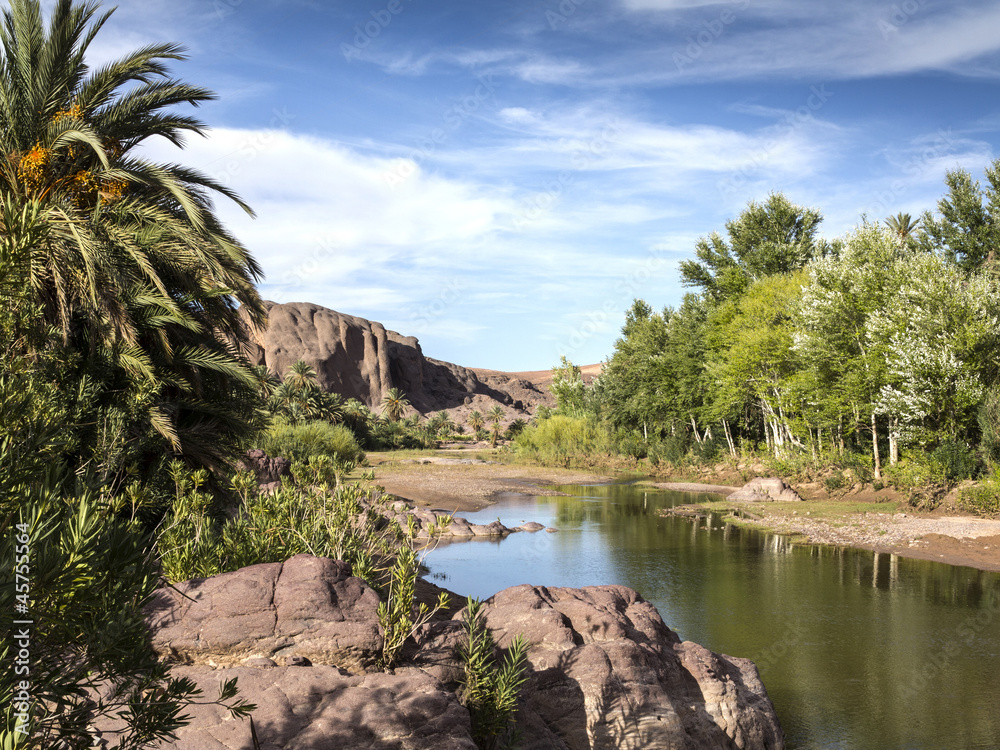 vegetation and water in the oasis of Fint in Morocco Stock Photo ...