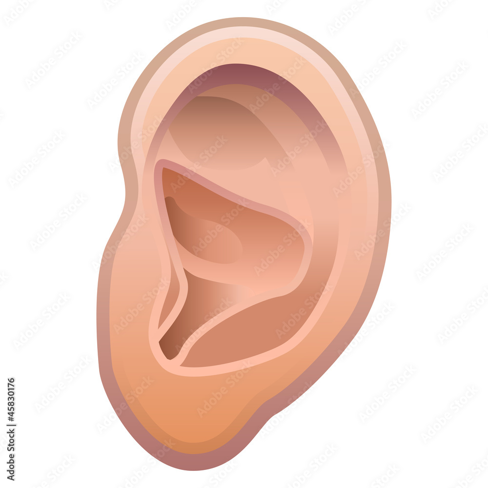 Ohr Stock Vector | Adobe Stock