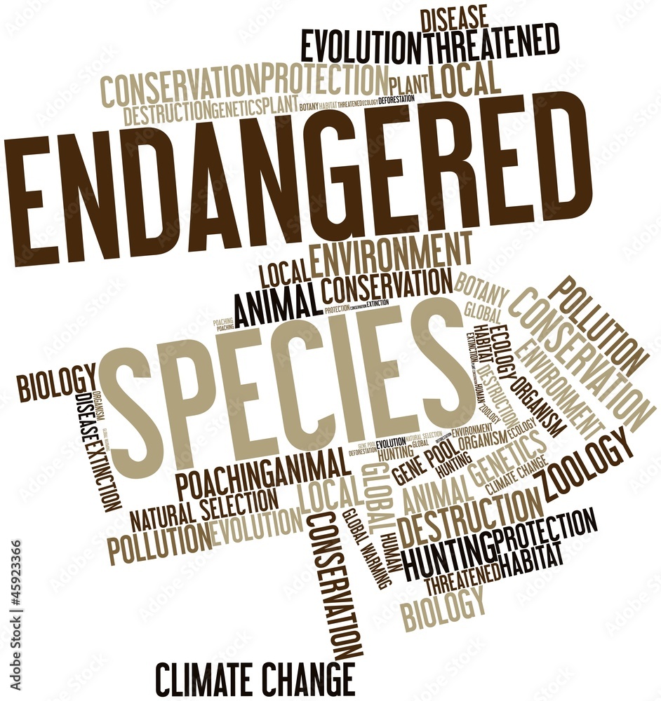 Word cloud for Endangered Species Stock Illustration | Adobe Stock