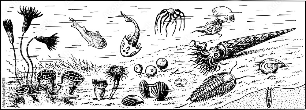 Paleozoic era Stock Illustration | Adobe Stock