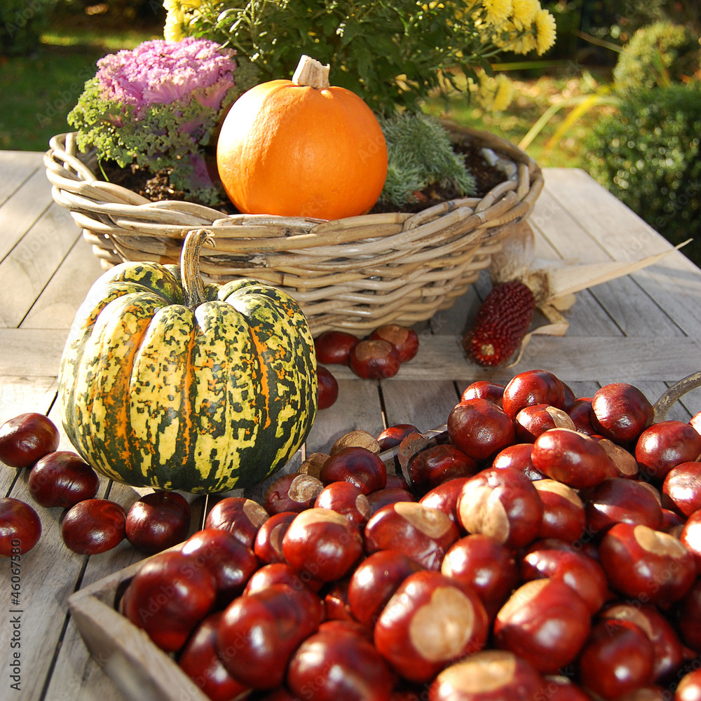 Herbstliche Ernte Stock-Foto | Adobe Stock