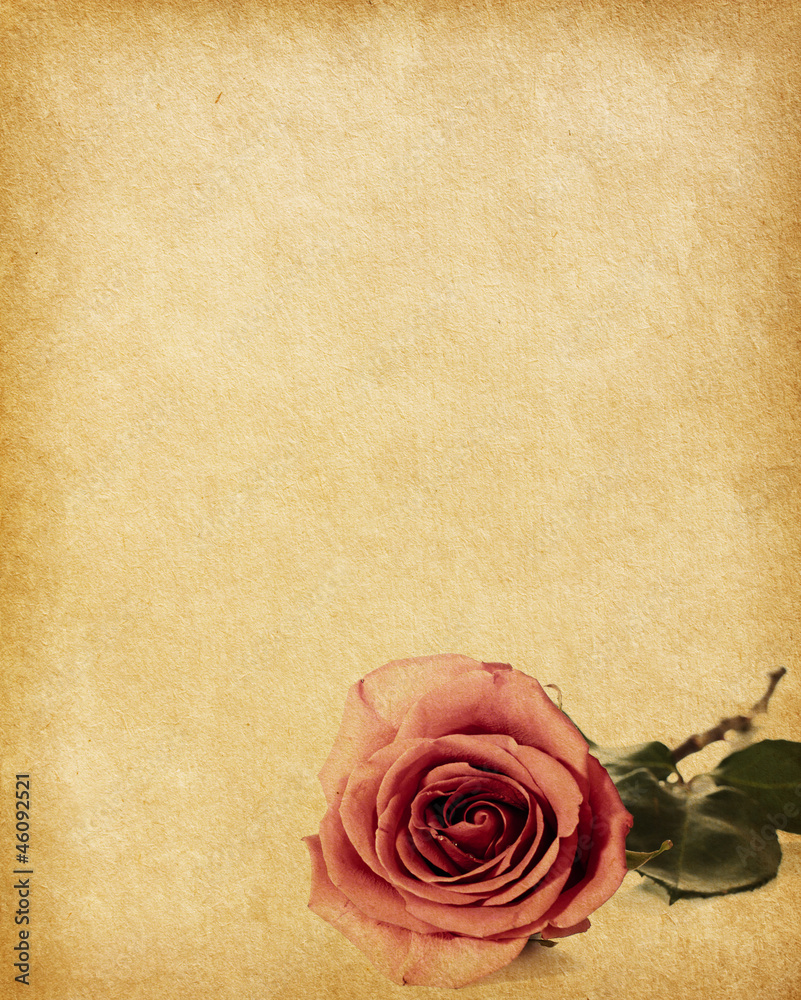 old paper texture with rose Stock Photo | Adobe Stock
